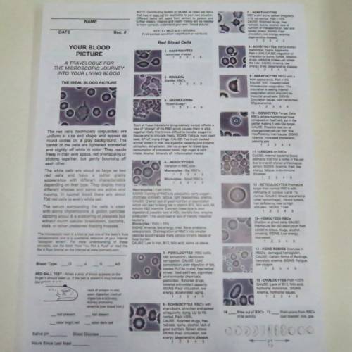 Supplies – Biomedx Store